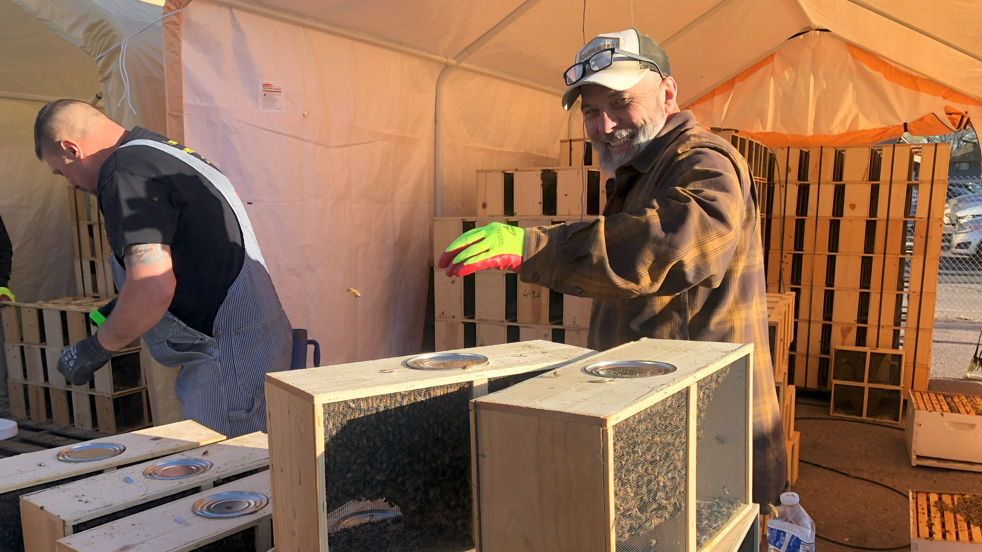3# Package Bees - Rocky Mountain Bee Supply