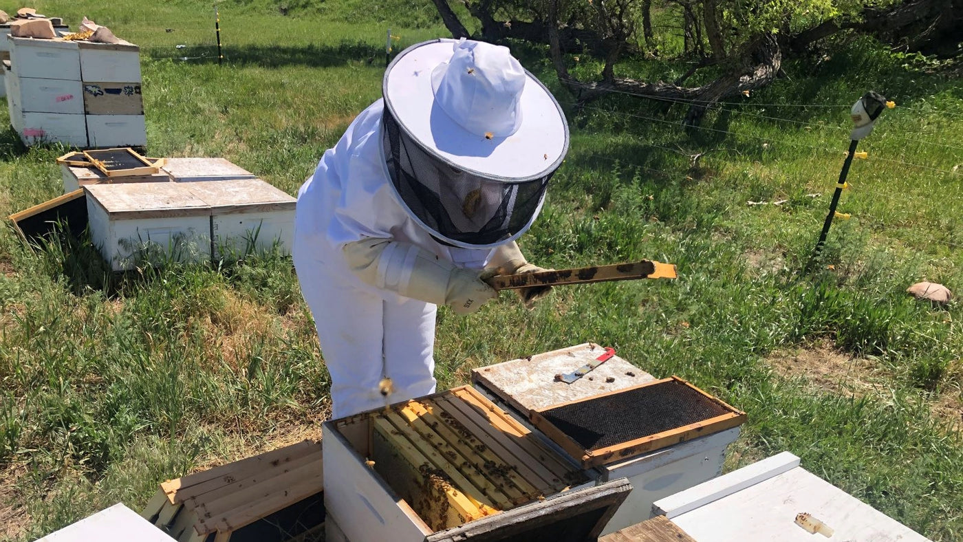 Rocky Mountain Bee Supply