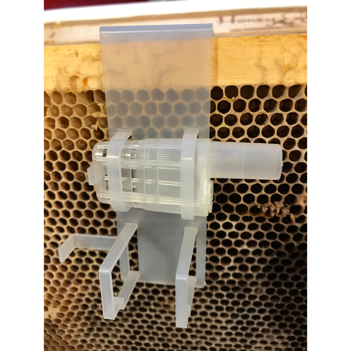 Queen Rearing - Rocky Mountain Bee Supply